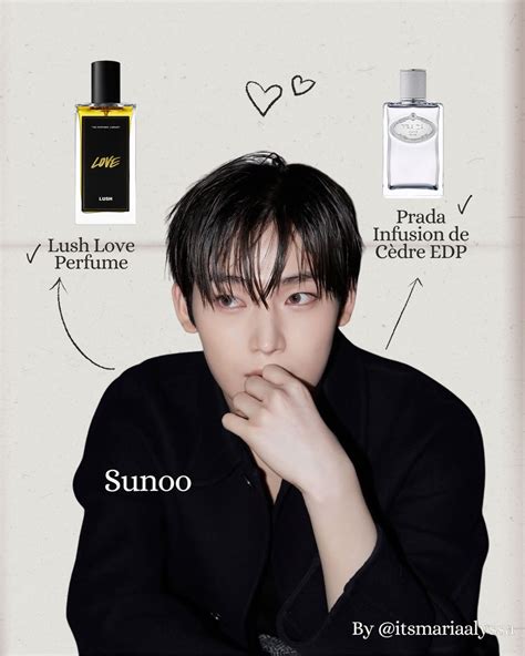 What Perfume Do Enhypen Members Use Style Vanity Asian Beauty