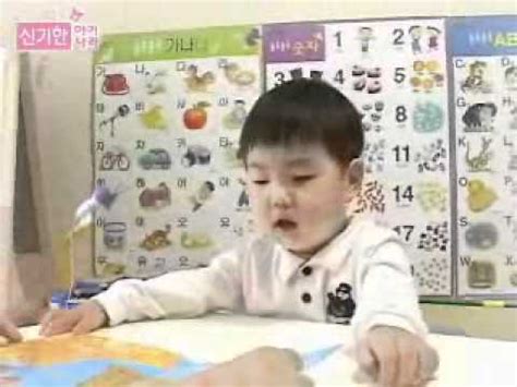 신기한 아기나라 정서영역 YouTube
