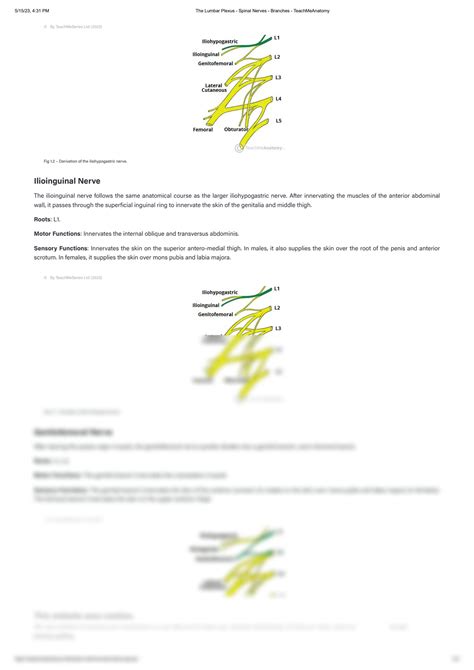 SOLUTION The Lumbar Plexus Spinal Nerves Branches Teachmeanatomy Studypool