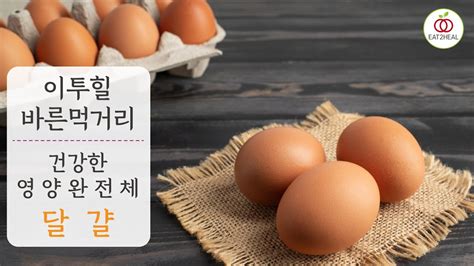 달걀 인체 최고의 단백질 공급원 영양 가성비 최고의 식품 Youtube