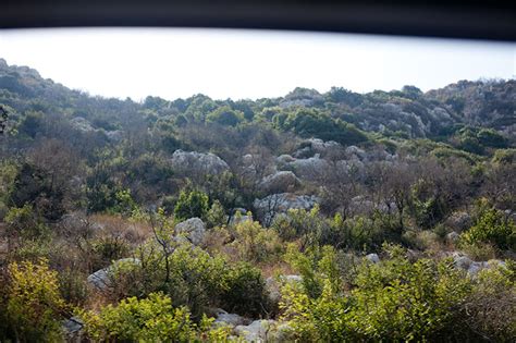 Should You Bug In Or Bug Out Advantages And Disadvantages Of Each Option