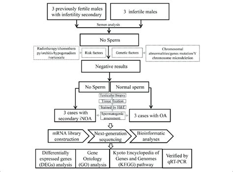 The Flowchart Of The Experimental Design Download Scientific Diagram