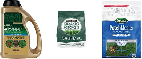 Grass Seed Lawns 5 Best Picks And Buying Guide