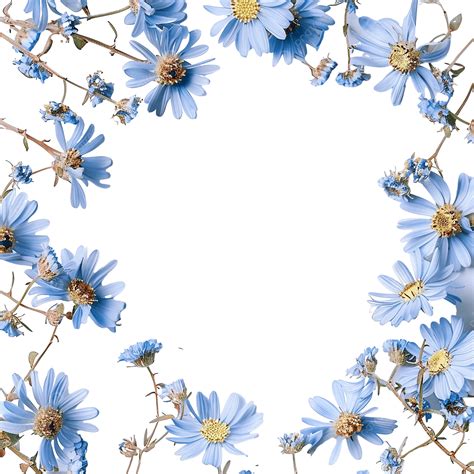 Daisy Stencil Border Stencils Elegancia Border Stencil Cake Stencils