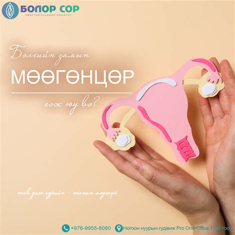 💊 Антибиотик эмийн БОЛОР СОР эмэгтэйчүүдийн эмнэлэг