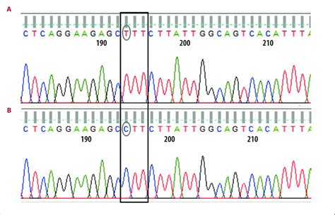 Sanger Sequencing Electropherograms Figure 1 Illustrates The Sanger