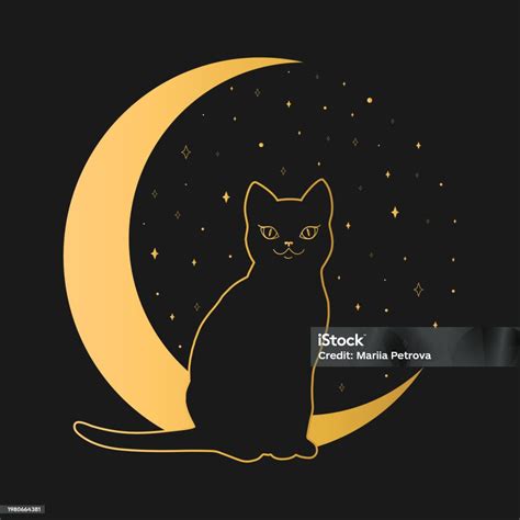 초승달 위에 앉아있는 검은 고양이 마법과 마법 배경 벡터 일러스트 레이 션 고양이 새끼에 대한 스톡 벡터 아트 및 기타 이미지 고양이 새끼 귀여운 금색 Istock