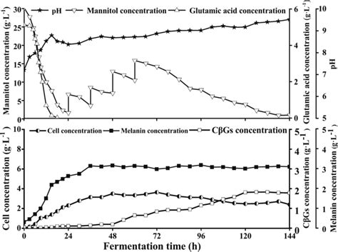 Time Profiles Of Fed Batch Fermentation For Cβgs Fermentation Without Download Scientific