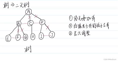 树、森林转化为二叉树， csdn博客