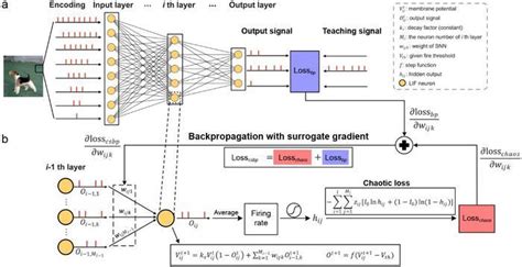 Brain Inspired Chaotic Spiking Backpropagation