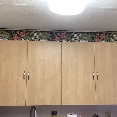 Nautical Living Wallpaper Border Green Blue Tropical Beach Scene