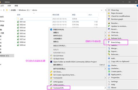 Svn 分支branch和标签tag管理 Csdn博客
