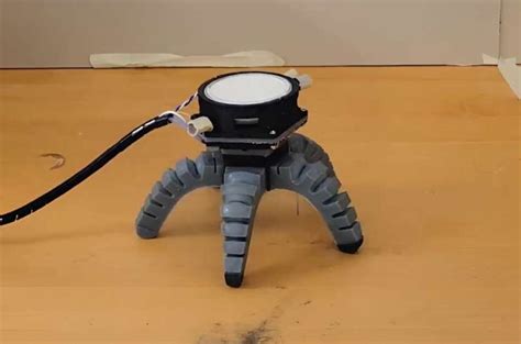 Cda Researchers Use Fungal Mycelia To Control Robots