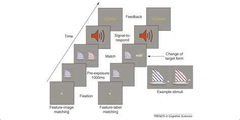 the encoding retrieval relationship retrieval as mental simulation trends in cognitive sciences