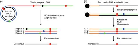 Lost In Transcription Transient Errors In Information Transfer Pmc
