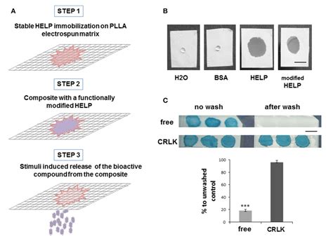 Figure 1 From Composite Of Elastin Based Matrix And Electrospun Polyl Lactic Acid Fibers A