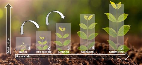 Implementing The Data Governance Maturity Model By George Firican