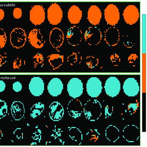 Mean Ftir Spectra After Applying Asymmetric Least Squares Smoothing To Download Scientific