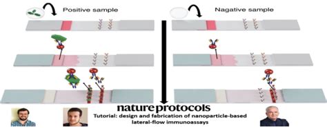 Nano Bioelectronics And Biosensors Group