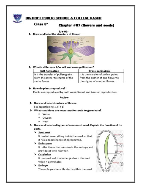 Ch3 Class 5th Pdf Seed Flowers
