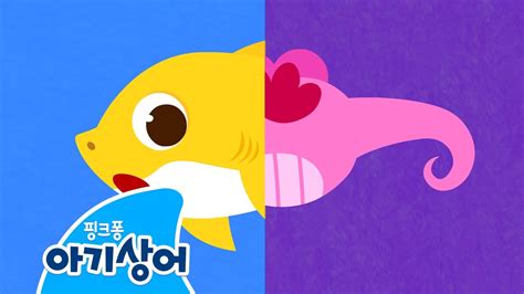 상어 꼬리 찾기 상어가족 아기상어와 노래해요 핑크퐁 아기상어 올리 Youtube