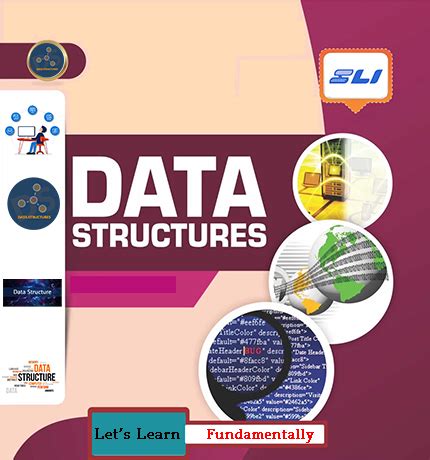 Data Structure SLI The Self Learning Interface