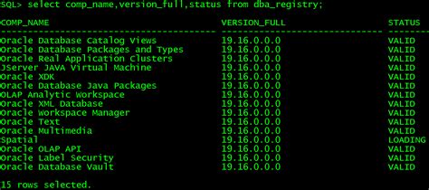数据库管理 第七十六期 如何升级19c Rac（20230516） 墨天轮
