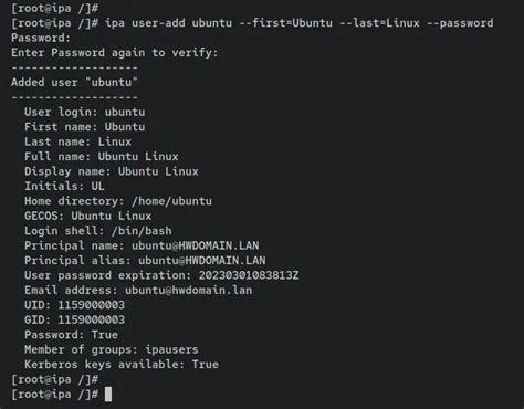 How To Install FreeIPA Server With Docker On Debian