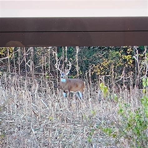 Post From Kaitlyn Maus Outdoors