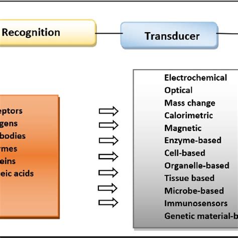 Functioning Of Biosensors Download Scientific Diagram
