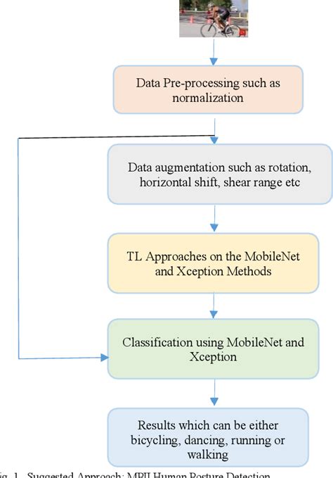 Figure 1 From Human Posture Detection On Lightweight Dcnn And Svm In A Digitalized Healthcare