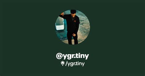 Tiny Instagram Tiktok Linktree