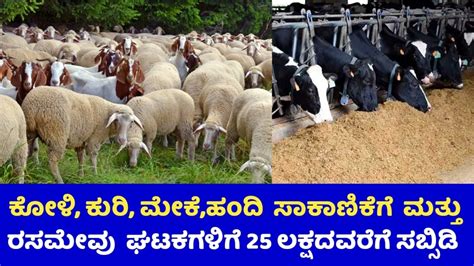 NLM Scheme ಕಳ ಕರ ಮಕ ಹದ ಸಕಣಕ ಮತತ ರಸಮವ ಘಟಕಗಳಗ 25 ಲಕಷದವರಗ ಸಬಸಡ