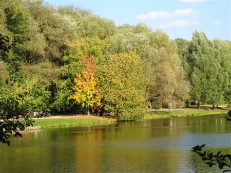 Home and Garden — ЖЖ