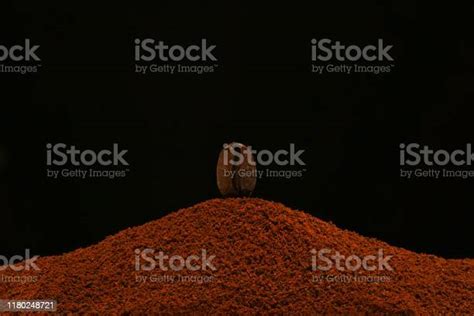 갓 구운 커피 콩은 검은 색 배경에 한 줌의 분쇄 커피위에 서 있습니다 격리된 매크로 엽서 배너 공간을 복사합니다 갈색에 대한 스톡 사진 및 기타 이미지 Istock