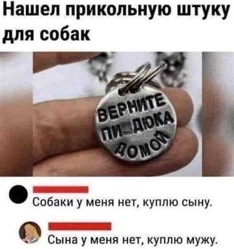 Создать мем "забавные адресники для собак, адресник для собаки с ...