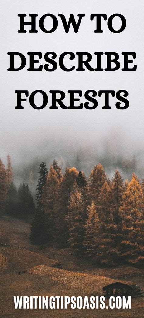 How To Describe A Forests Ebook Writing Writing Dialogue Descriptive Writing Book Writing