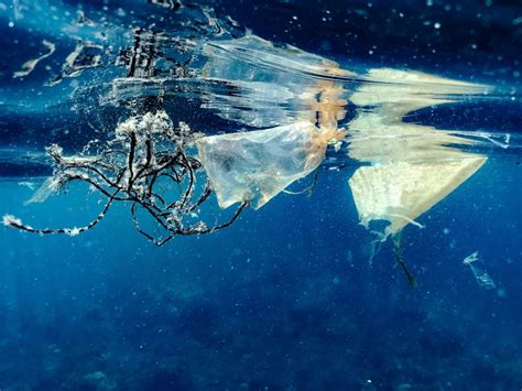 미국 2035년까지 일회용 플라스틱 단계적 폐지 선언