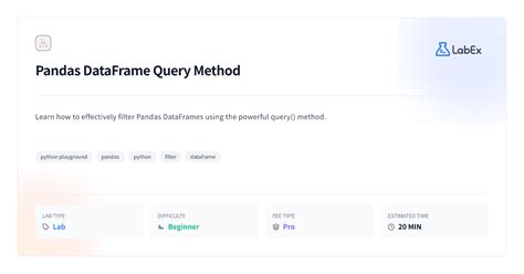 Método Query Em Dataframes Pandas Labex