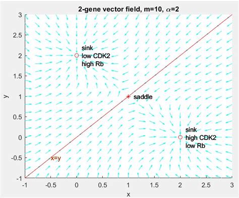 Figure 13 From Cusp Bifurcation In Metastatic Breast Cancer Cells Semantic Scholar
