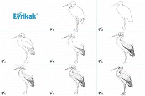 Как да нарисуваме щъркел Doo Bg КАРТИЧКИ МОДА РЕЦЕПТИ СЪВЕТИ