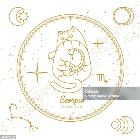 점성술 전갈 자리 조디악 기호현대 마법 마술 카드 만화 조디악 기호 재미있는 고양이 갈고리 발톱에 대한 스톡 벡터 아트 및 기타 이미지 갈고리 발톱 고양이 새끼