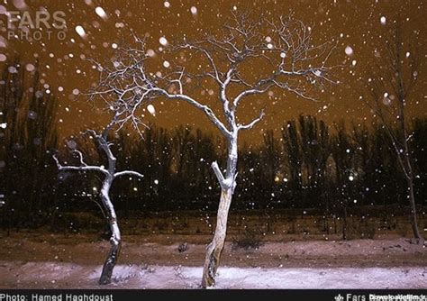 عکس برف در شب طبیعی