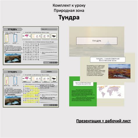 Природная зона Тундра комплект к уроку Презентация рабочий лист Окружающий мир 4 класс