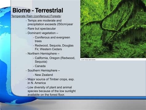 Ecosystems Structure And Functionpptx