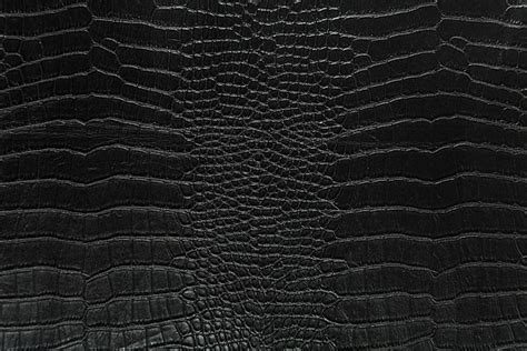 Snake Skin Skin Background Python Vector Skin Background Python Png