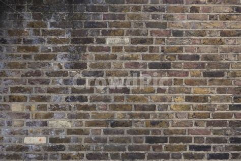 벽 벽돌 블록 건축 시멘트 사진 이미지 일러스트 캘리그라피 Currere작가