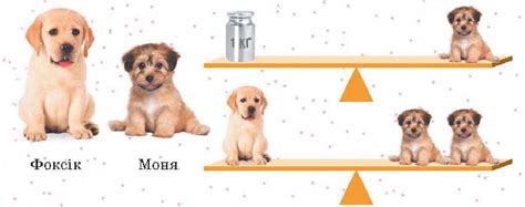 Дай лапу друже ДИВОСВІТ ПРИРОДИ РІДНОГО КРАЮ Підручник Я досліджую світ 1 клас Частина 2