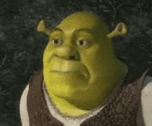 Shrek Meme S Tenor