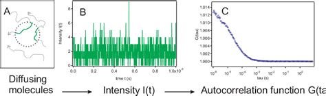 Figure 1 From Fluorescence Correlation Spectroscopy — Source Link